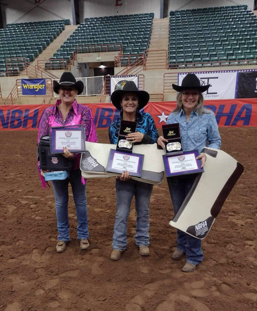 MI NBHA – The official website of the Michigan National Barrel Horse ...