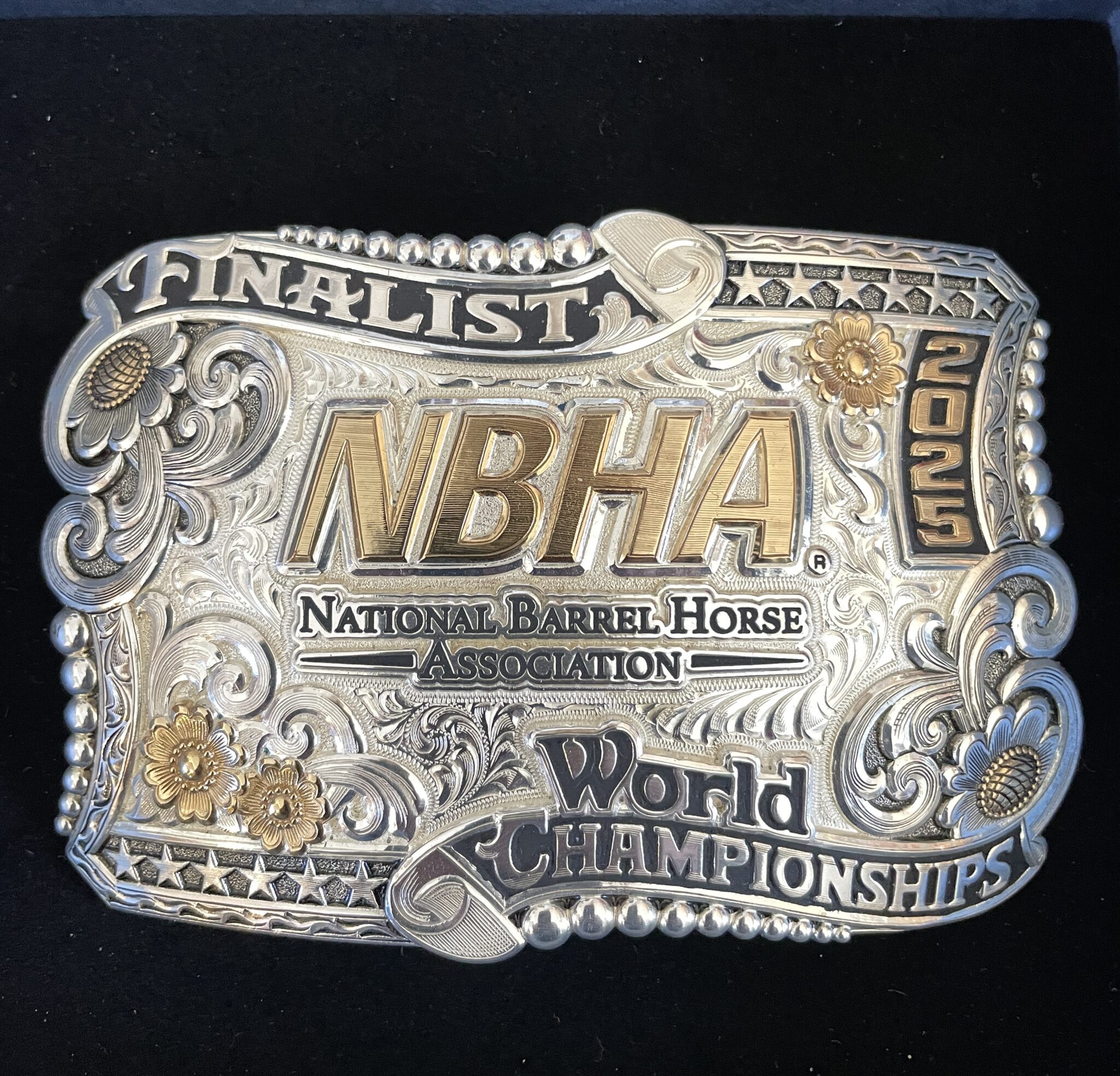 MI NBHA – The official website of the Michigan National Barrel Horse ...